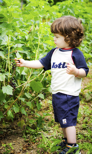 Acasă - Apuseni Fruct