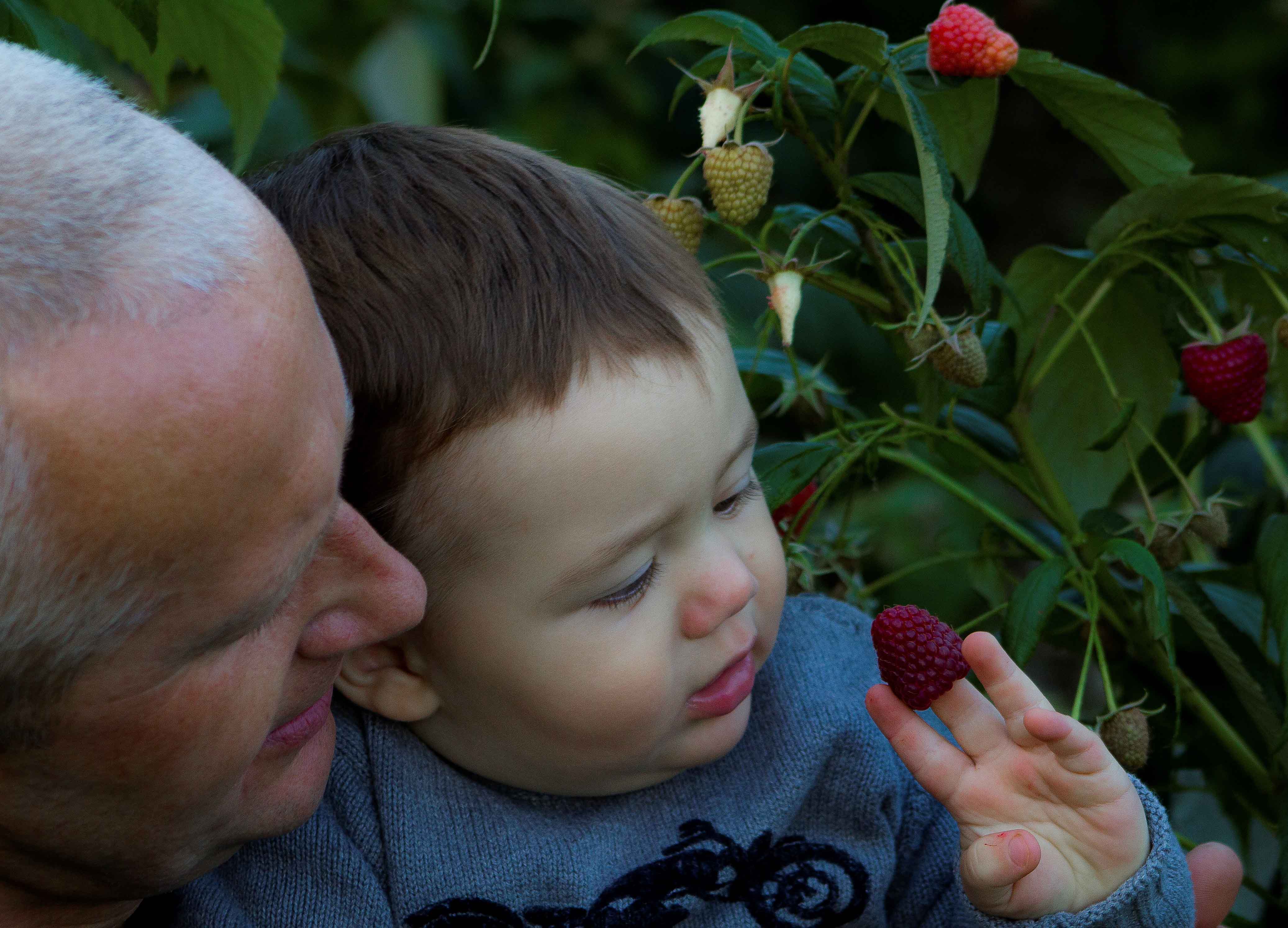 Galerie - Apuseni Fruct