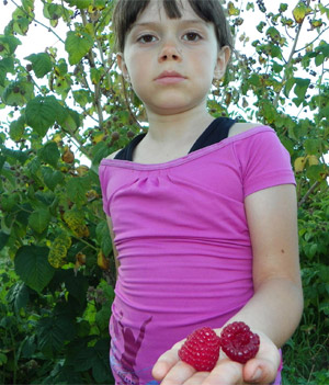 Despre noi - Apuseni Fruct