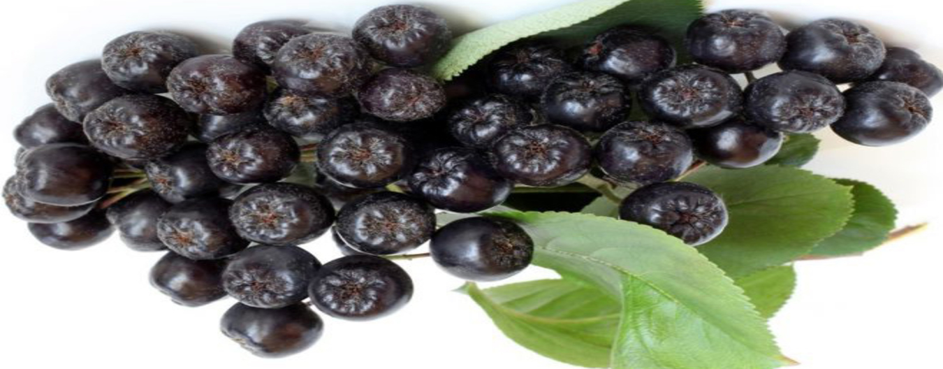 Acasă - Apuseni Fruct